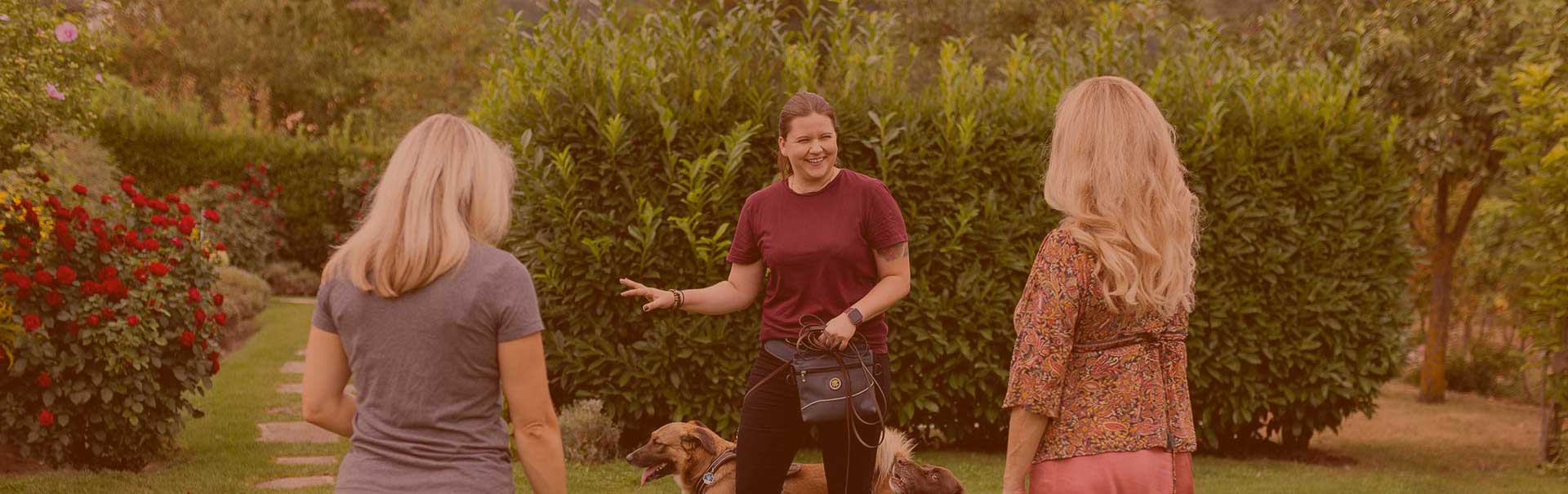 Über mich - PowerPaw-Akademie